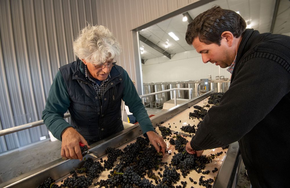 Our Winemaking – Résonance Wines